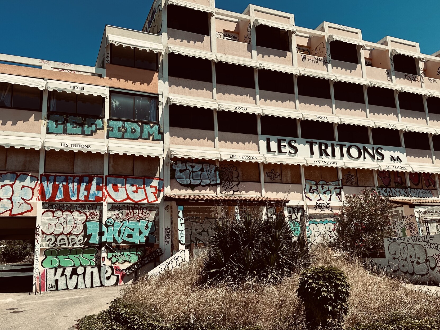 Eric Böhnisch-Volkmann (@eric@devontechnologies.com) - DEVONtechnologies